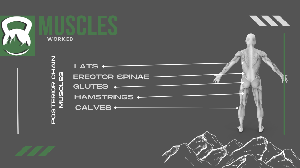 Barbell Good Morning Muscles Worked, Benefits, and How to Guide ...